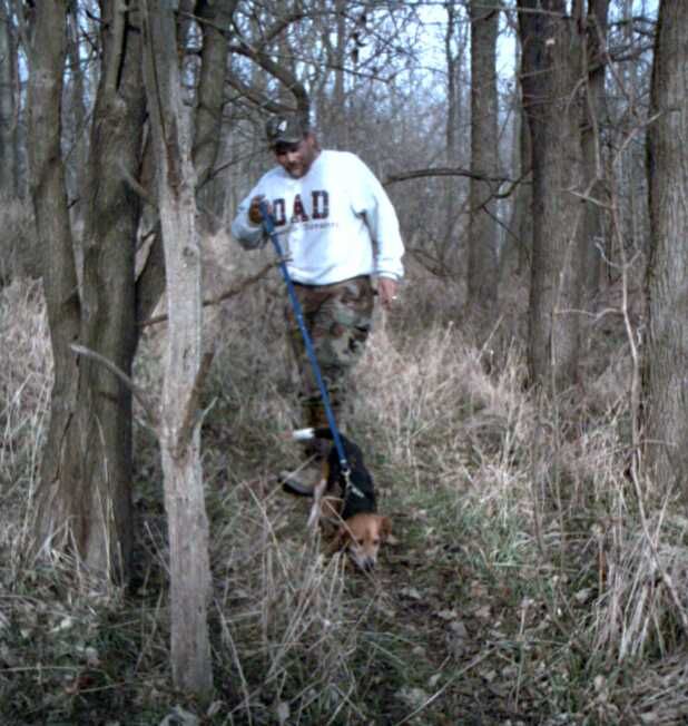 United Kennel Club (UKC) | Beagling Today